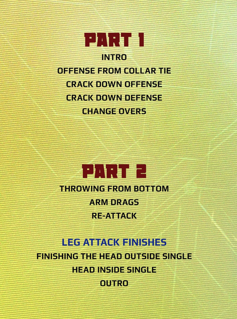 Unorthodox High Percentage Offense by Pat Downey – Fanatic Wrestling